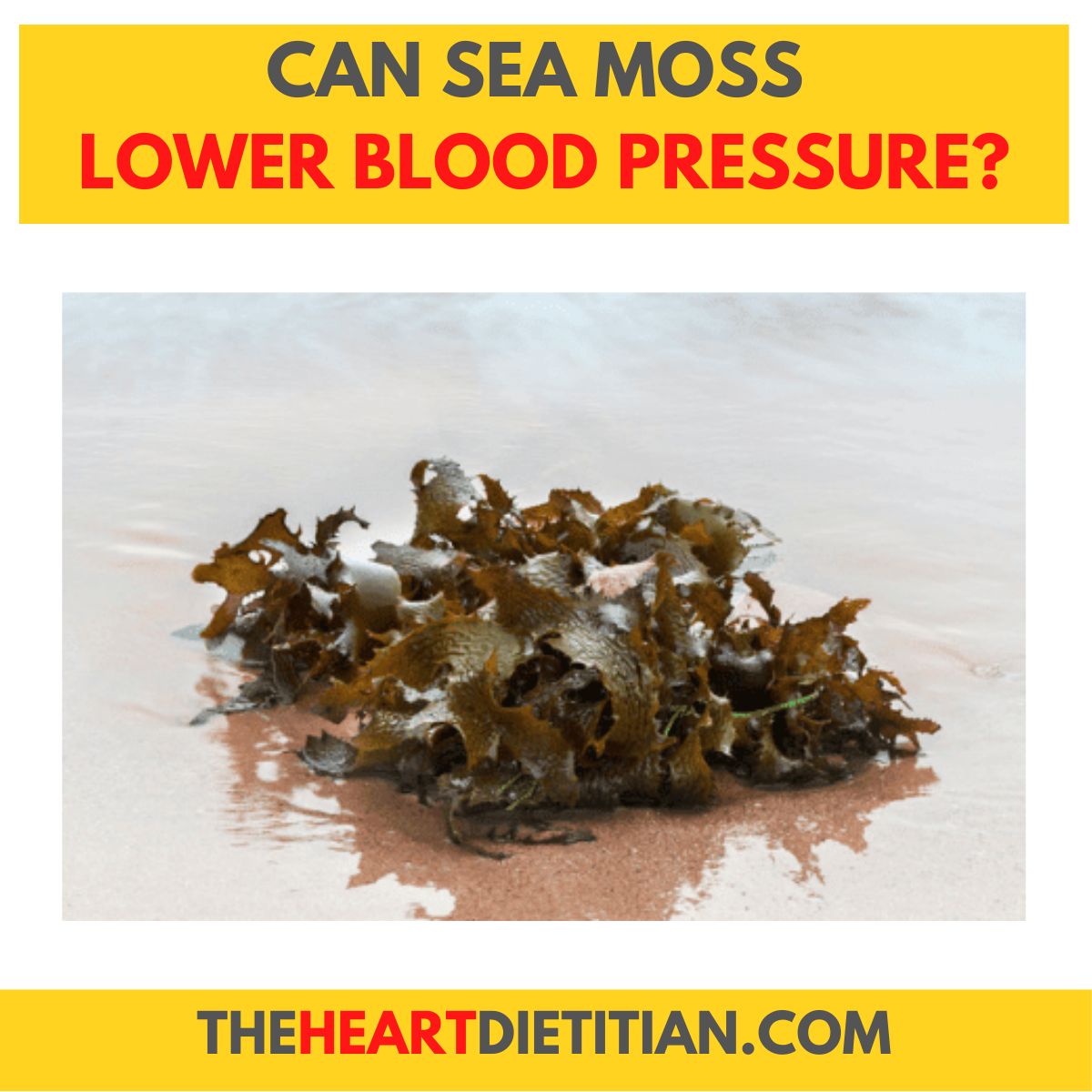 Is Sea Moss Good For Blood Pressure? - The Heart Dietitian